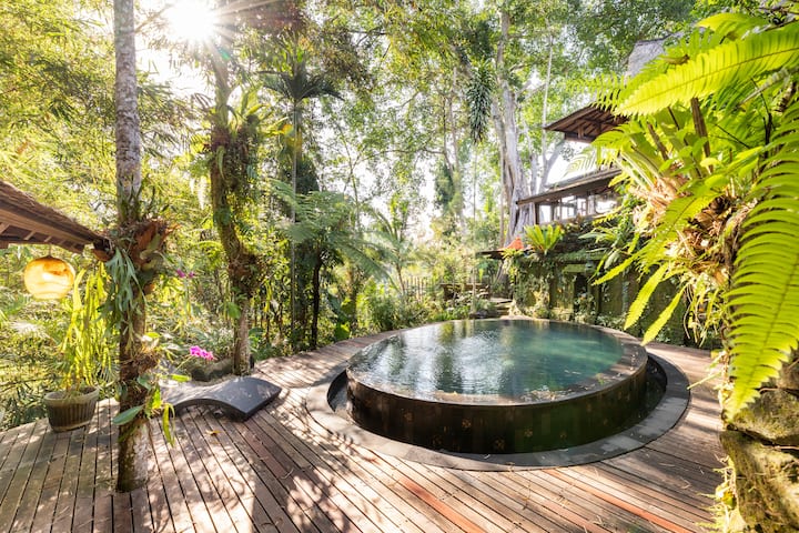 Stunning Zen Sanctuary Villa with Incredible Views - Villas for Rent in ...