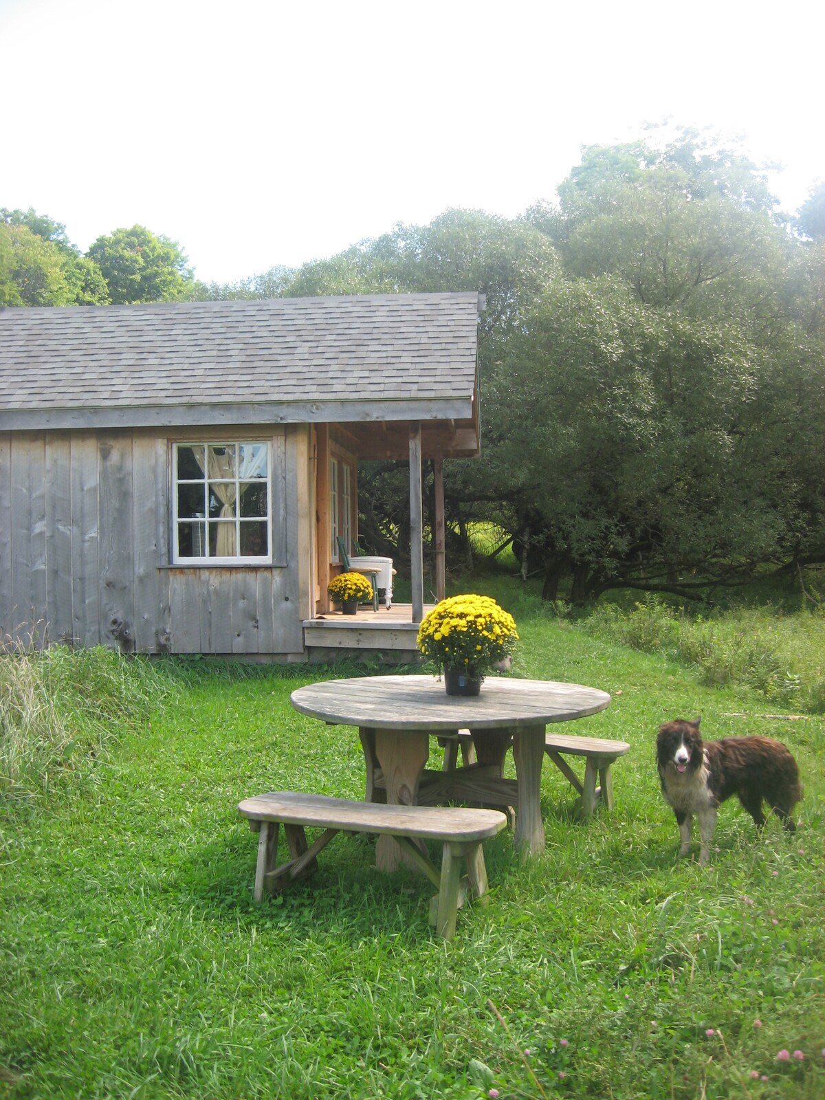 Catskills FarmHand Cabin on Farm in East Meredith
