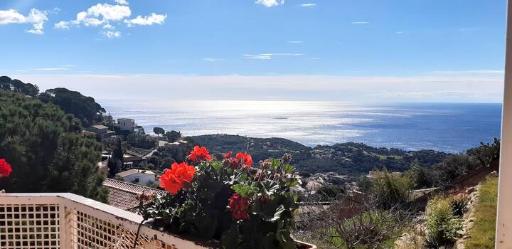 Casa Rosa - Lloret de Mar