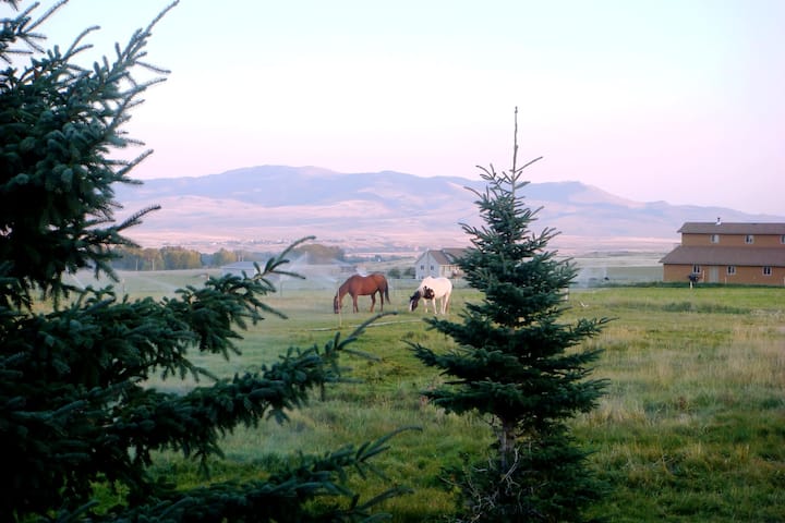 Halcyon Days - Dillon, MT