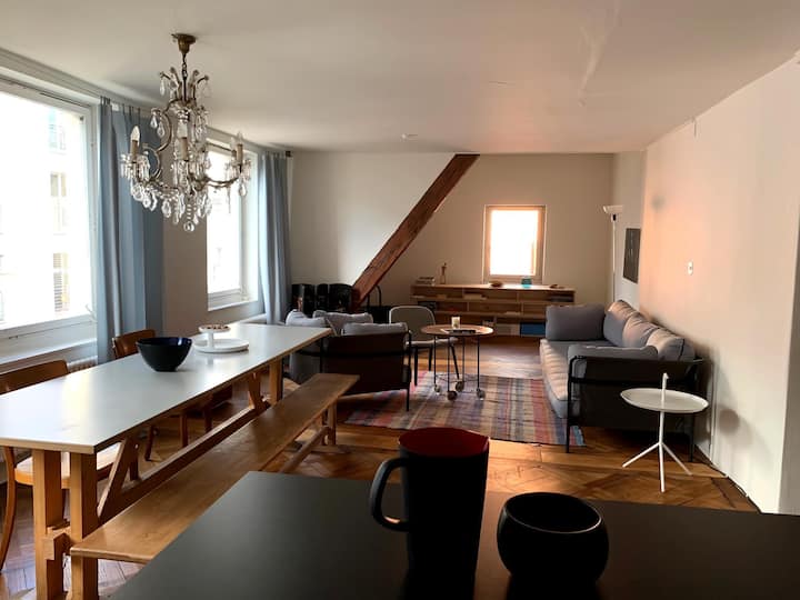 Spacious Apartment Just Behind The Railway Station - Zürich