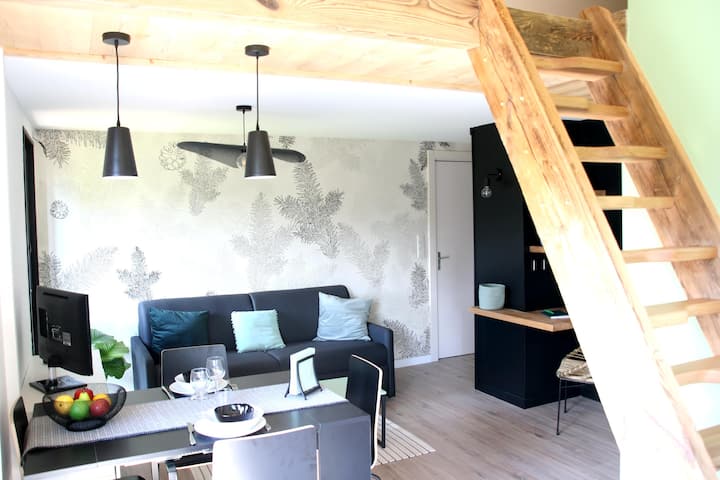 Cothicarroz - Superbe Studio Dans La Station - Flaine