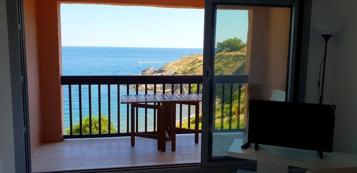 T2 Neuf Baie De Collioure Vue Mer- Sur La Plage - Banyuls-sur-Mer