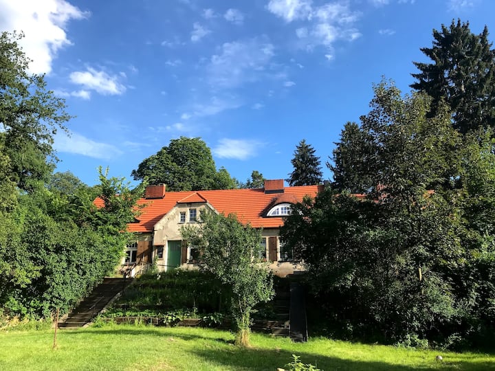 Berlin Wannsee Eule - Berlin