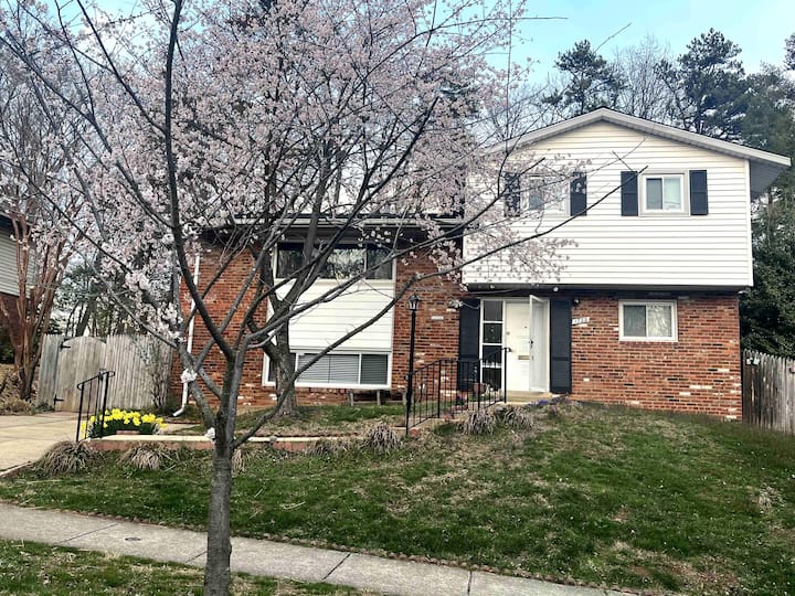 Full Basement Unit With Separate Entrance - Rockville, MD