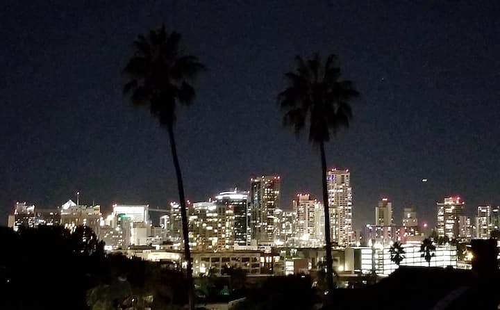 Awesome Skyline View - San Diego, CA