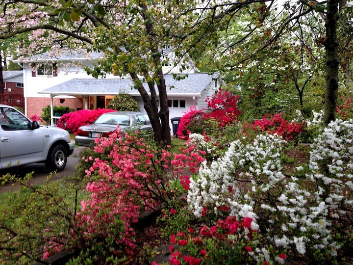 Beautiful  Home In Springfield, Va, Near  Dc! - Fairfax, VA