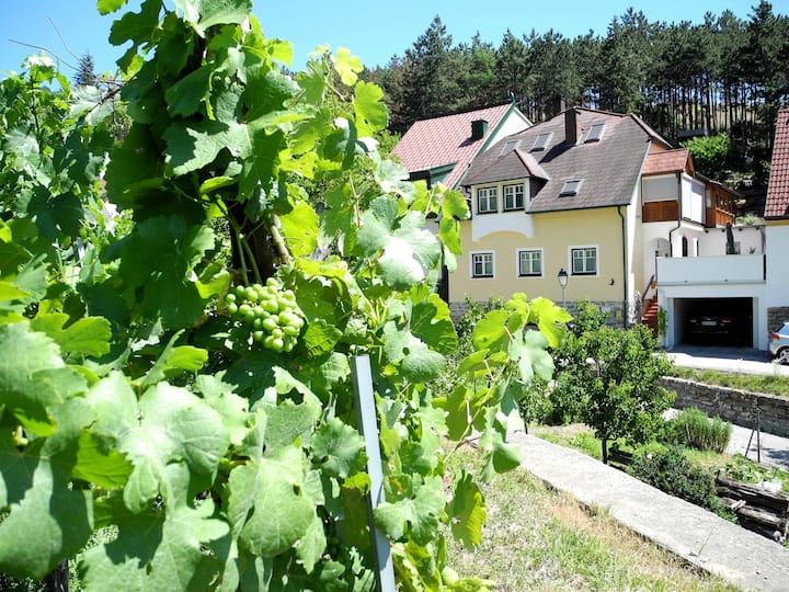 Gästehaus Johanna Dürnstein - Dürnstein