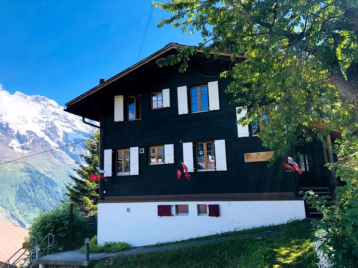 Top Floor In Charming Chalet In Mürren - Lauterbrunnen