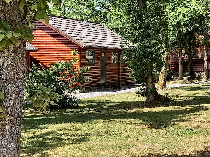 Le 25 Ieme Heure 4 Personnes Animaux Admis ! - Marche-en-Famenne