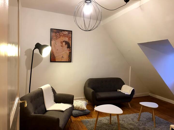 Grand Appartement Dans Maison Particulière - Strasbourg