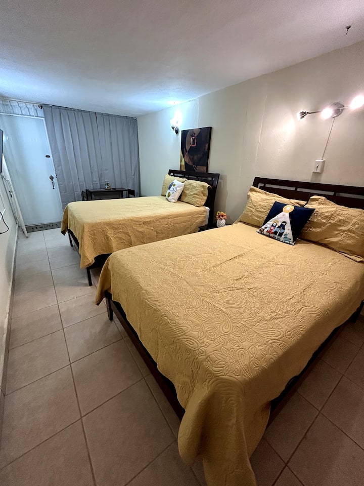 Estudio Ponce Céntrico Cerca Autopista Y Hospital - Ponce