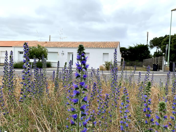 St Jean De Monts  Maison Neuve  15 Pers. 6 Ch. - Vendée