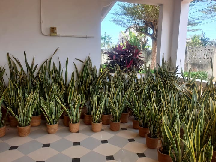 Malaika Apartments - Zanzibar