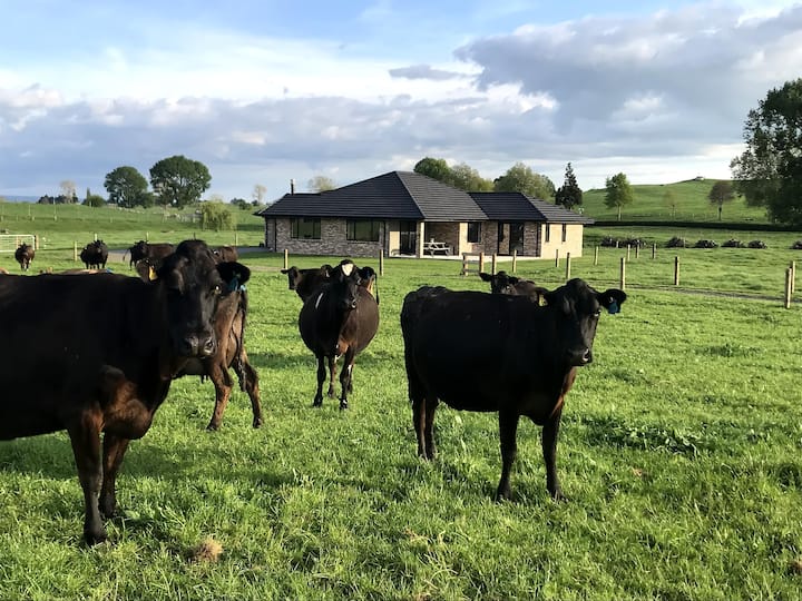 Willow View - Matamata