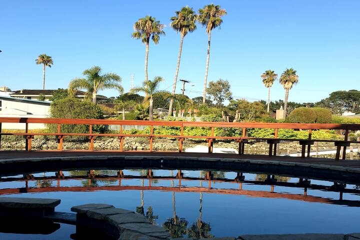 Mcm Waterfront Pool/hot Tub Between Sf And Napa - San Rafael, CA