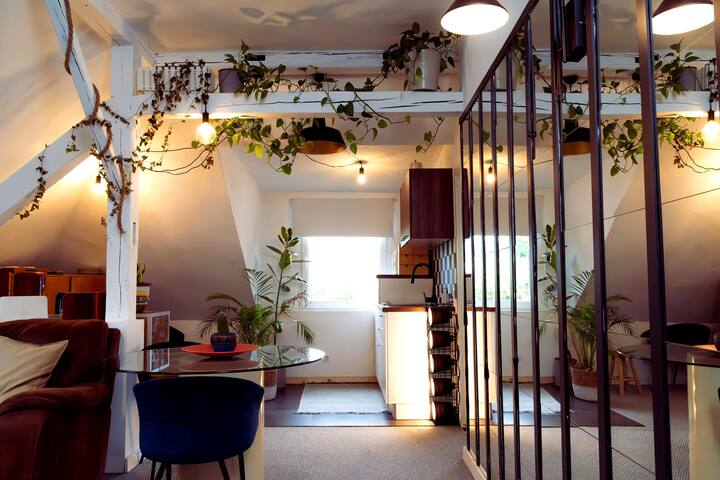 Wohnung An Der Musikschule - Koblenz
