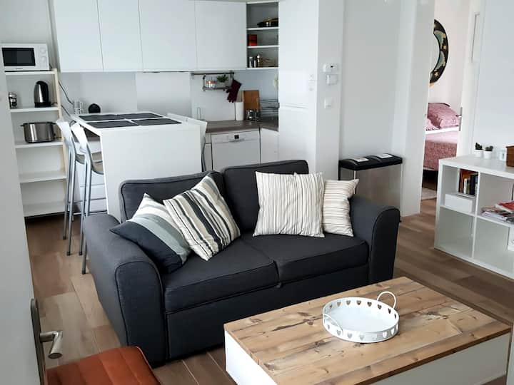 Appartement Tout Confort 2 Chambres 6 Couchages - Marcq-en-Barœul