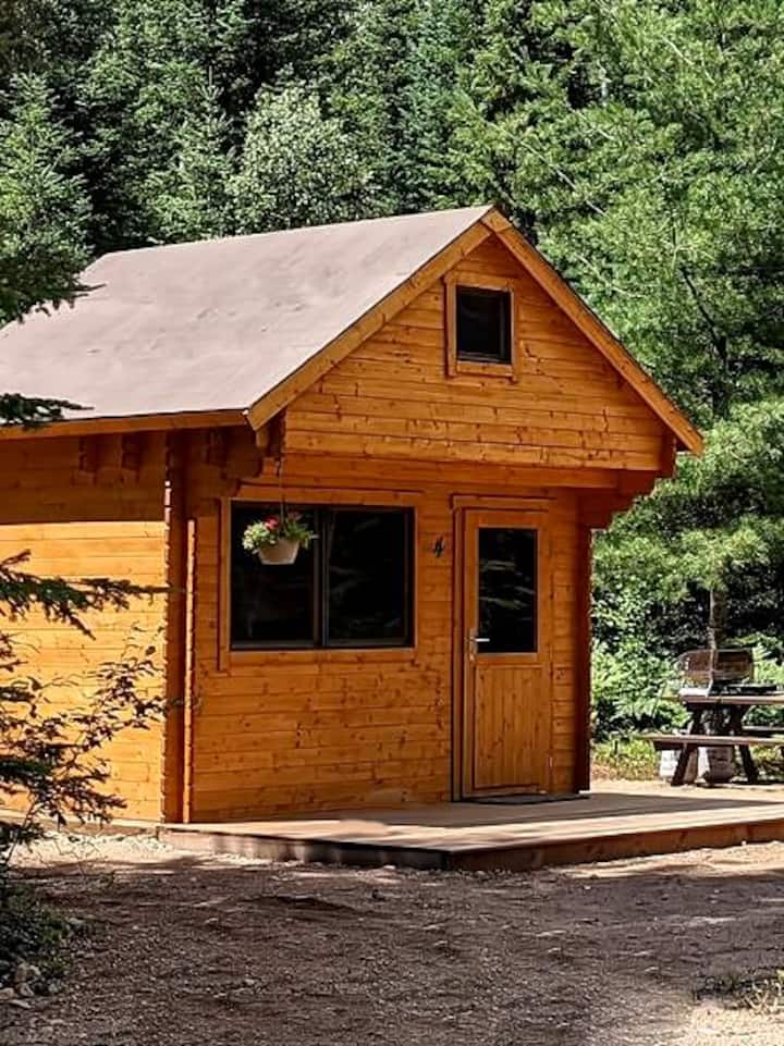 Moose Run #4 - Wilderness Cabin Near Algonquin! - Ontario 60