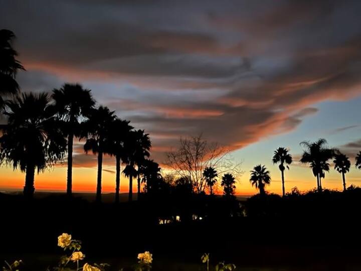 Ocean Breezes Airbnb - Bonsall, CA