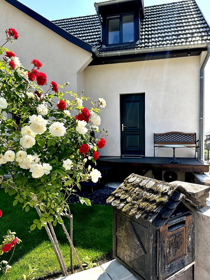 L'escale, Vue Sur Le Vignoble - Clim - Parking - Riquewihr