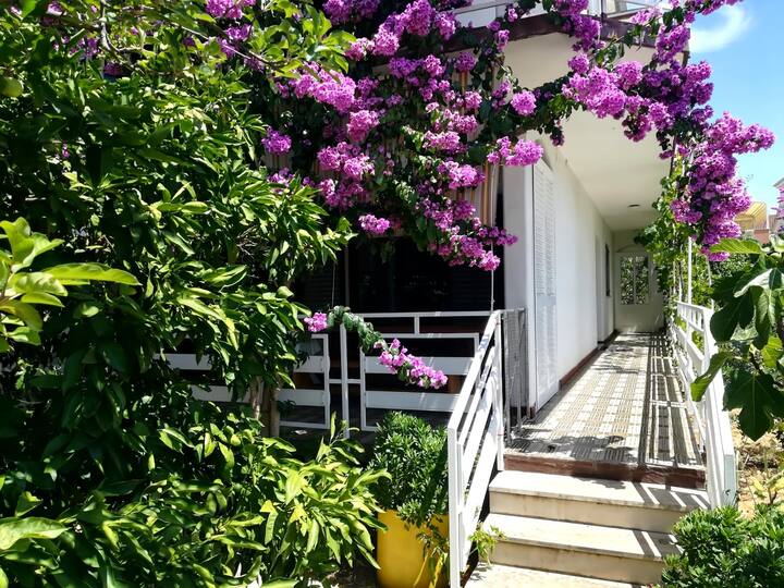 Lovely Furbished Apartment Near The Sea - Zadar