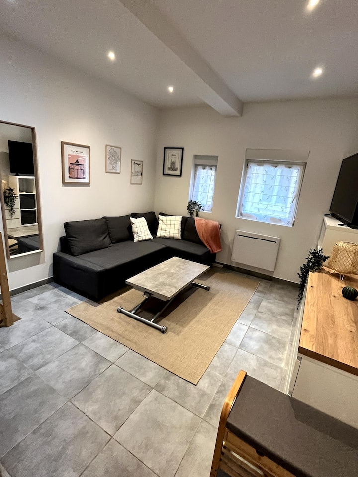 Le Rémois Studio Cosy Centre Ville Erlon/buirette - Tinqueux