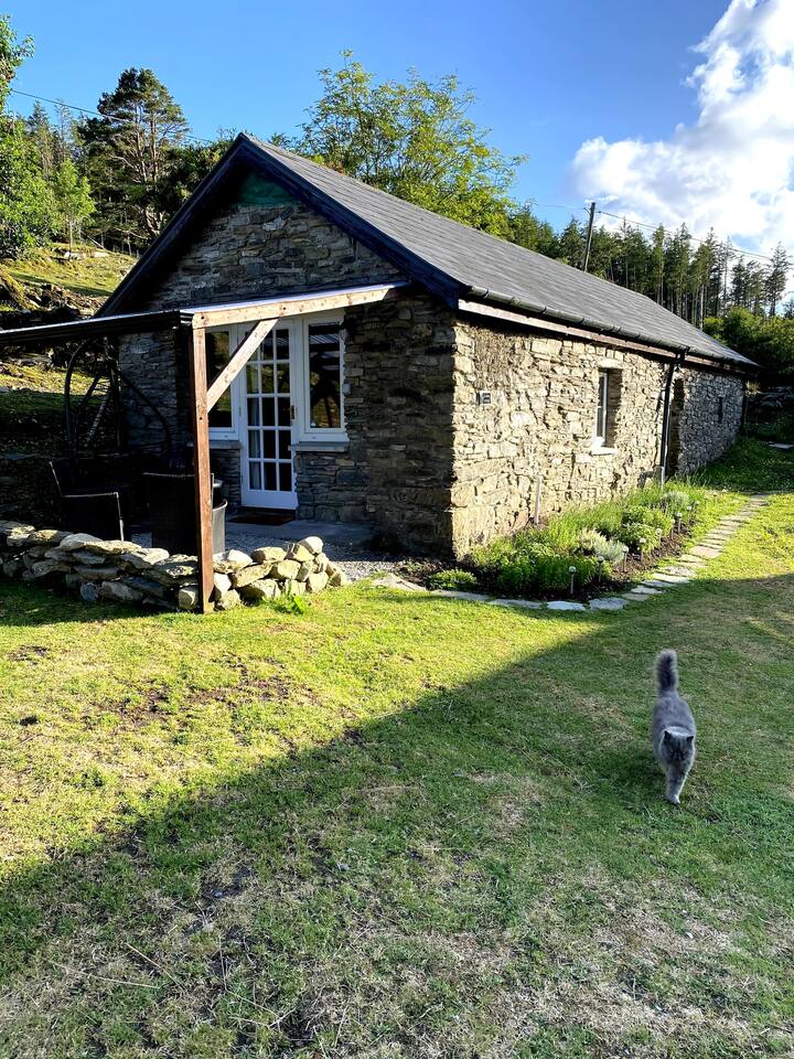 Llama Lodge At The Alpaca Farm - Irlande