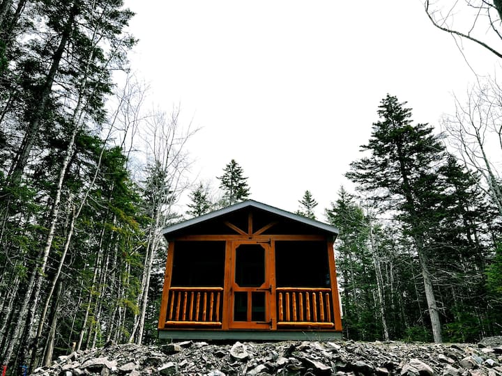 Cabin In The Woods: Sleepy Deer - Bar Harbor, ME