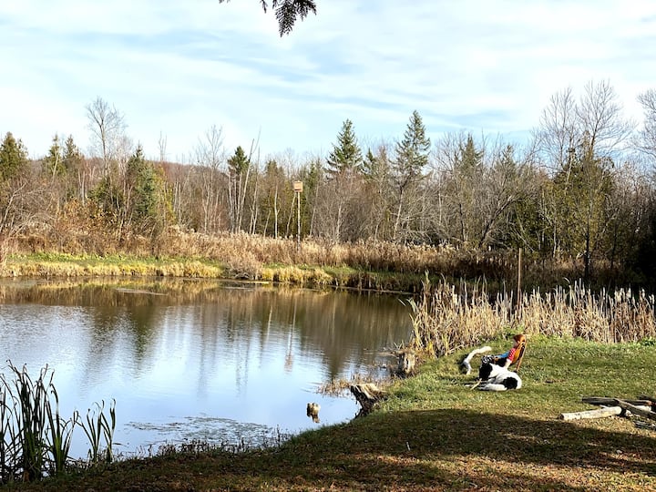 Pet Friendly Secluded Countryside Home In Uxbridge - Uxbridge, ON, Canada