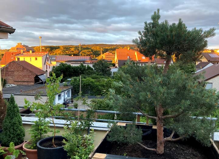 Eine Penthouse-wohnung Mit Stil - Basel