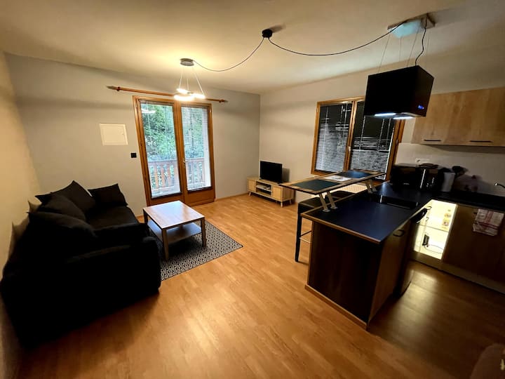 Joli Studio Toutes Saisons - Savines-le-Lac