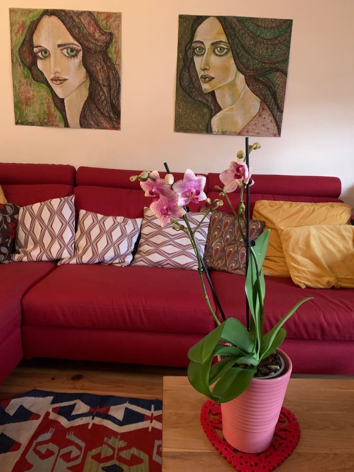 Safe, Spacious 2 Bedroom House Near Ucd - Dublin