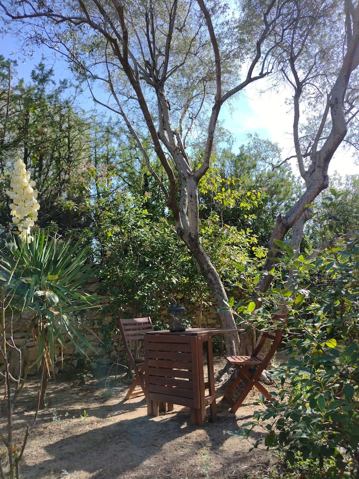 Charmant Loft Avec Jardin En Ville Et Parking - Montpellier