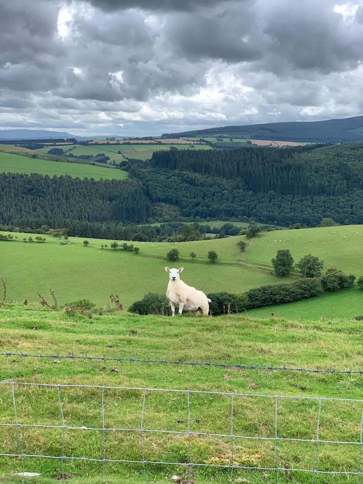 Wild Camping At The Roost Hill Farm - Herefordshire