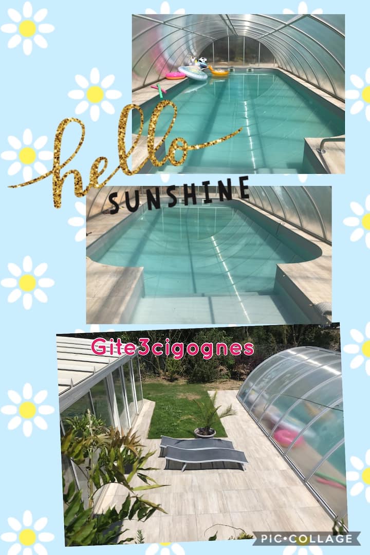 Gîte Piscine Couverte à Cernay Grand Jardin Clos - Wattwiller