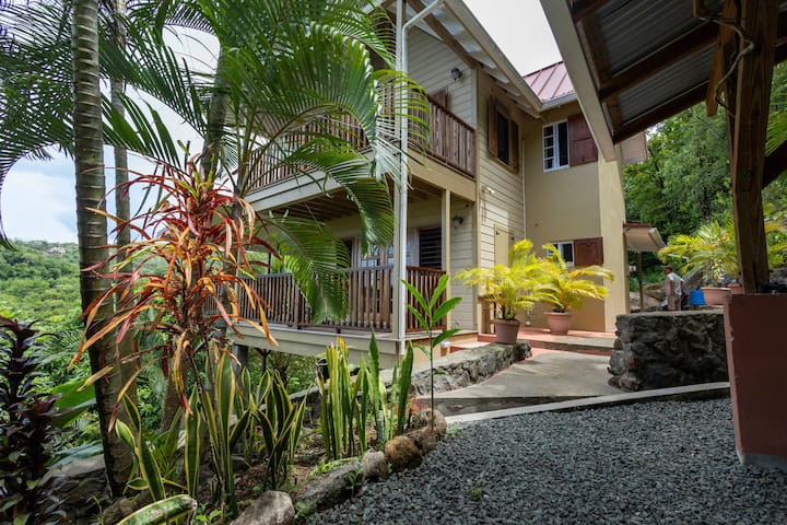 The Jungle House - Sainte-Lucie