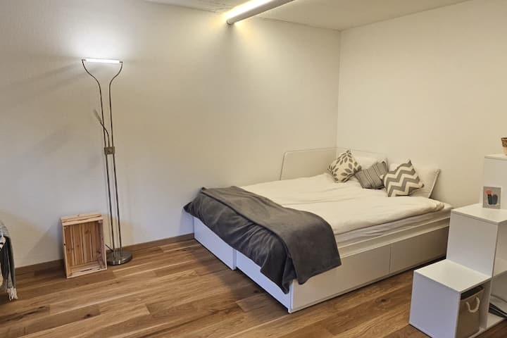 Lovely Studio "Salon" W/ Private Bathroom - Kanton Aargau