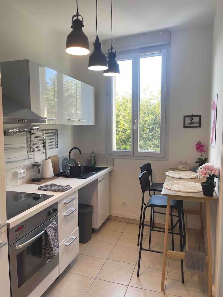 Grand Appart Traversant/ 10mn Gare De Lyon/ Chic - Maisons-Alfort