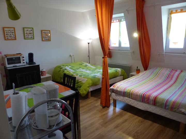 Studio Chaleureux, Coloré Et Cocooning... - Colmar