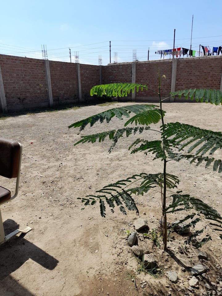 Casa De Campo Con Huerto Y Area De Recreacion - Huacho