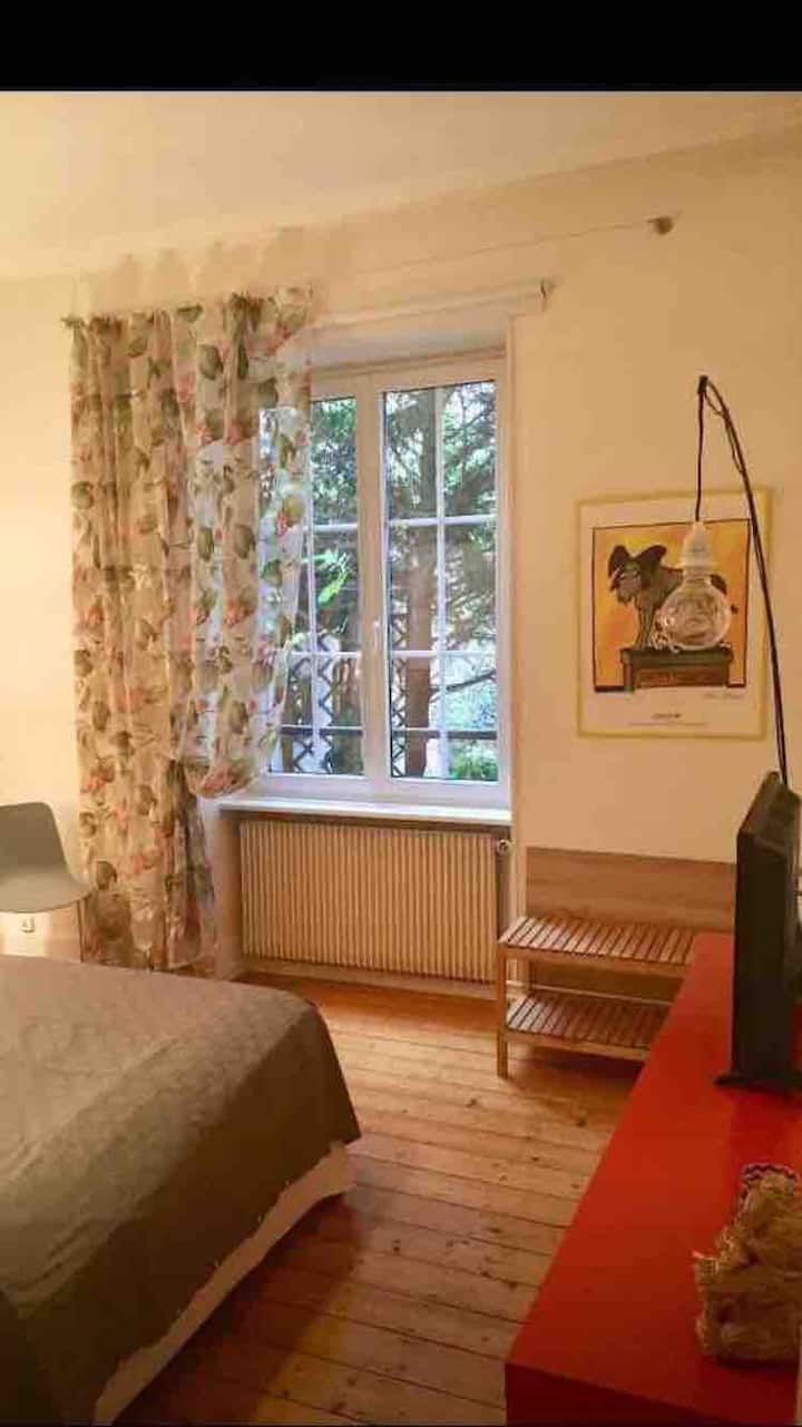 Appartement Decaractère Avec Vue Sur Jardin Arboré - Strasbourg