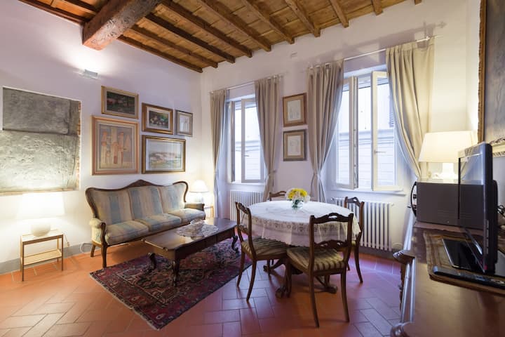 Apartment In The Very Center! - Florence