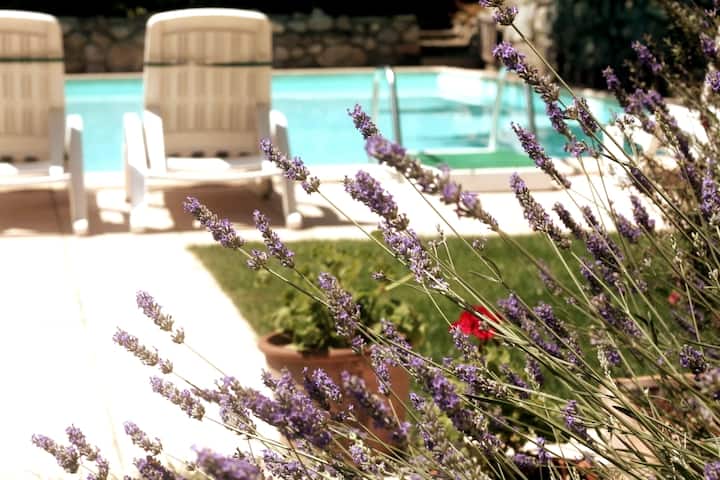 Prestige Apartment With Garden And Swimming Pool - 貝拉焦