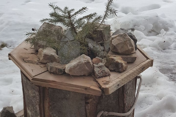 Green House-charming, Family Style Mountain House - Kopaonik