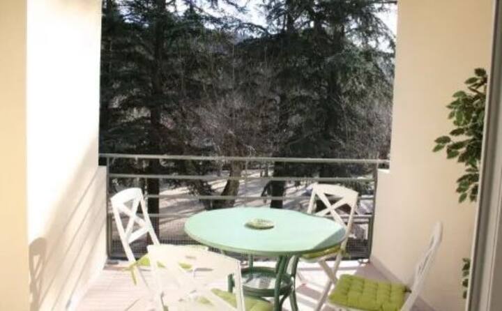 Bel Appartement, Vue Sur Parc - Vals-les-Bains