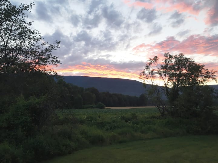 Renovated Farmhouse With Catskill Mountain Views - Saugerties, NY