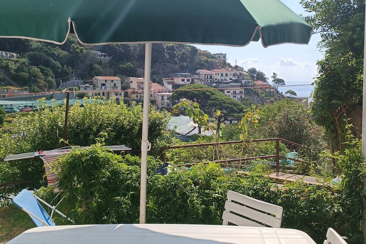 Mare E Limoni - Erchie