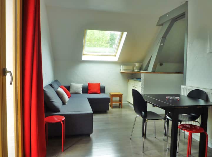 Appt 2 Pers Avec Terrasse Sud Proche Vieille Ville - Saint-Jorioz