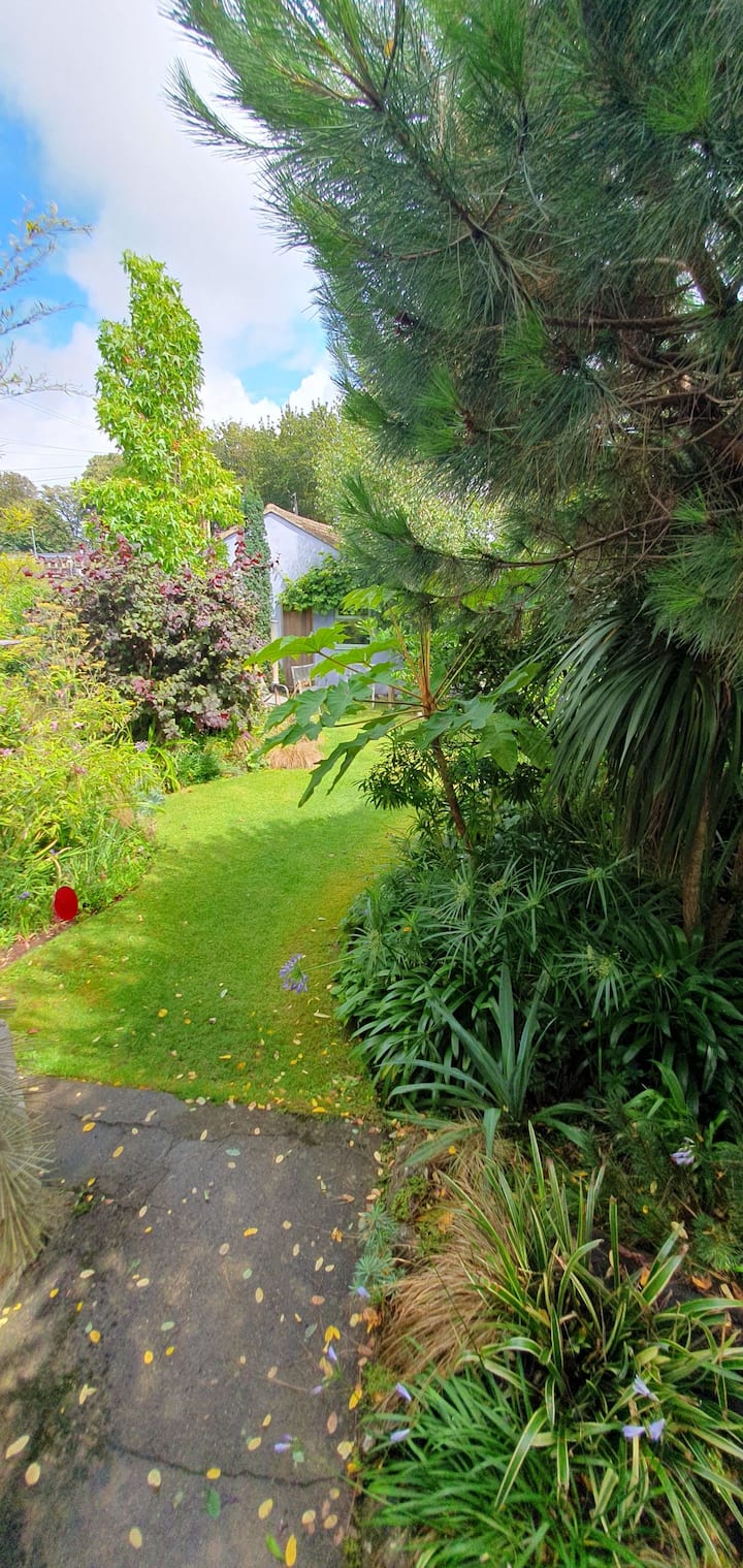 Green Urban Oasis & Seaside Wildlife Haven! - Devon